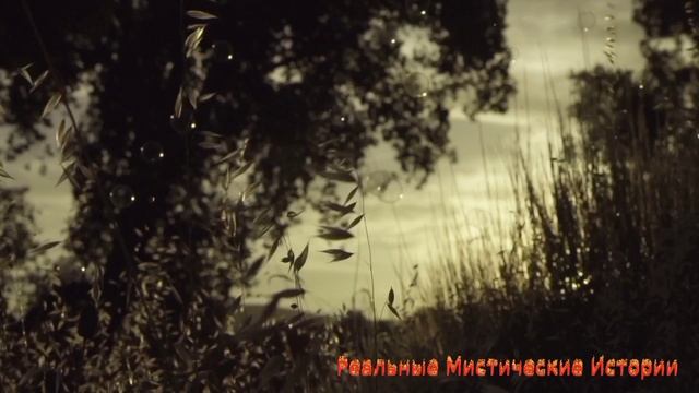 Спокойна музыка, делитесь, подписывайтесь!