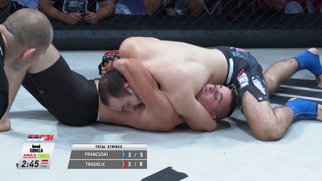 Милош Французский (Сербия) – Ивица Трогрлич (Хорватия)