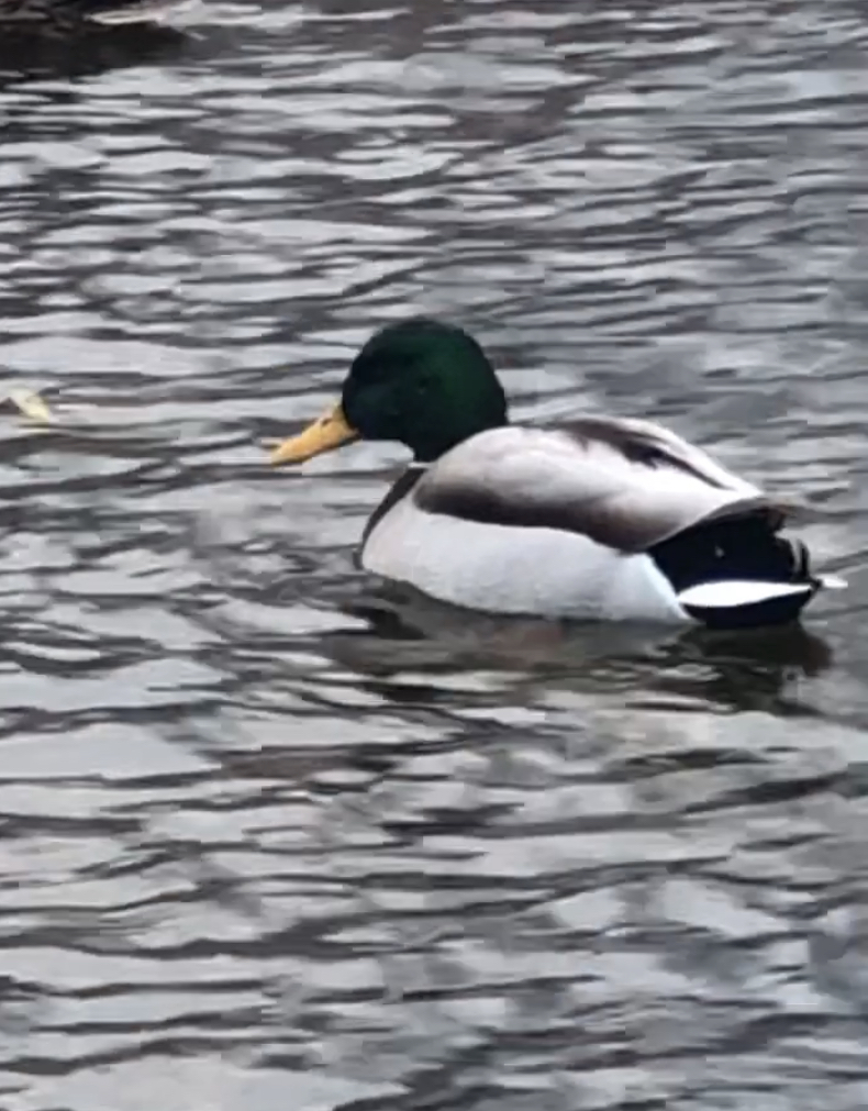 Как я выгляжу после 3-го бокала вина
У вас так же?