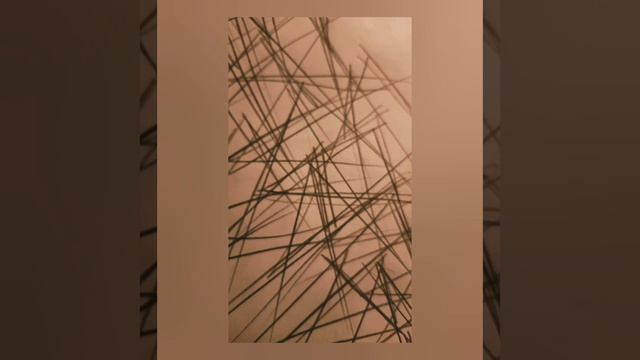 Лайнраум - Фонарь (vol I)