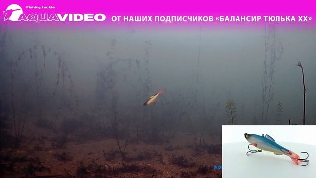 Балансир AQUA Тюлька XX - зимняя приманка для ловли хищников, таких как щука, судак и окунь.