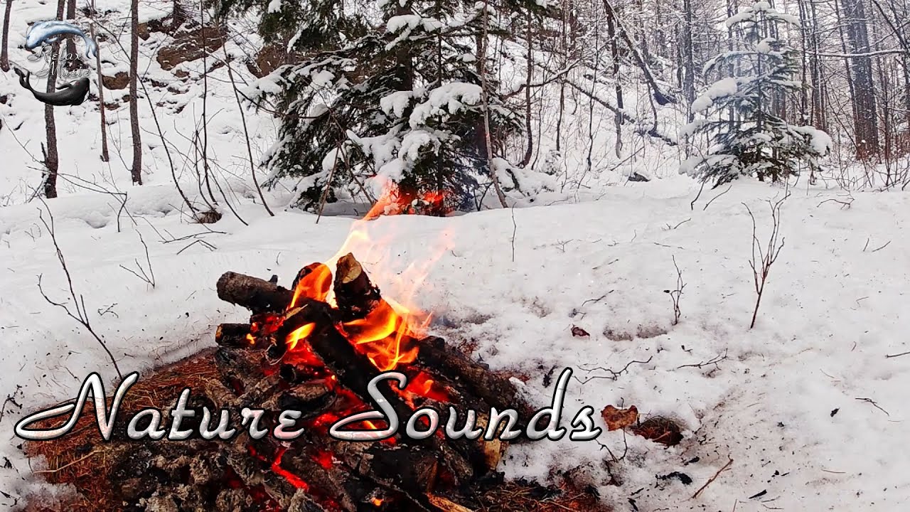 Небольшой костер на заснеженной поляне / Звуки природы и костра / ASMR