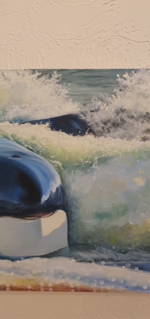 Косатка на мелководье