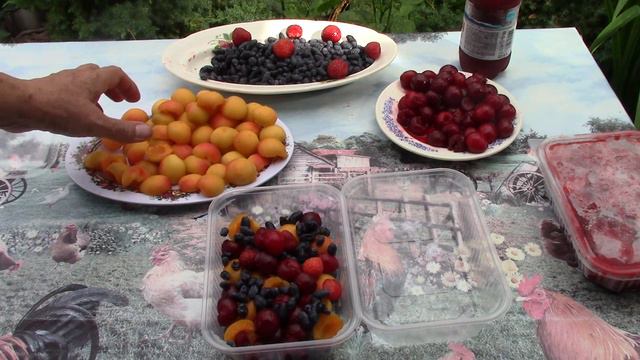 Заморозки из ягод