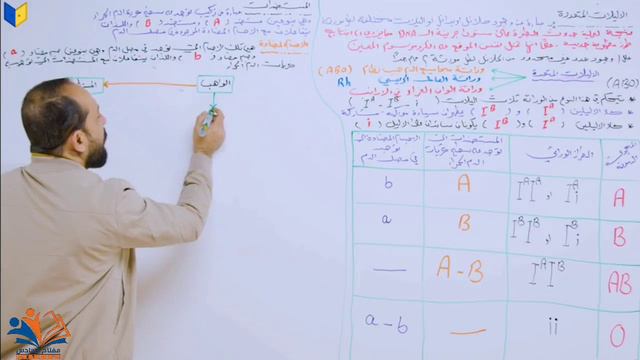 الفصل الخامس المحاضرة : 20  (الآليلات المتعددة)
