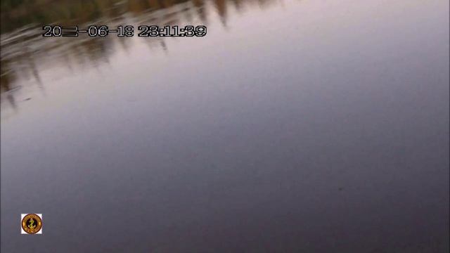 ЗХ,КОМАРЫ_КОМАРИКИ!!!