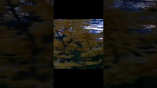SL_MO_VID_20220512_212752.mp4
