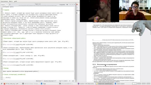 Лабораторная работа 10. Отчет.