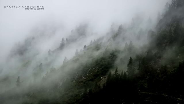 Arctica - Annuminas (Enchanted Edition) [Ambient, Drone, Field Recordings]