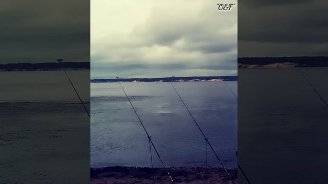 РЫБАЛКА В НЕНАСТНУЮ ПОГОДУ