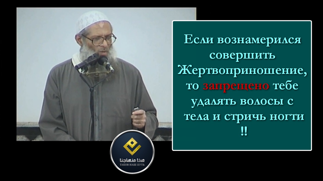 Если решил совершить Курбан, то запрещено тебе стричь волосы и ногти | Шейх Раслян