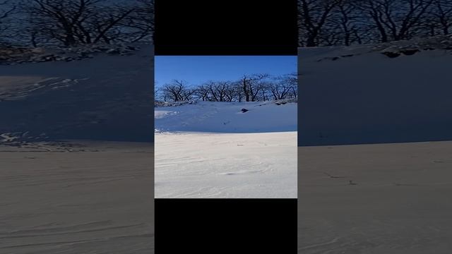 покатушки на санках