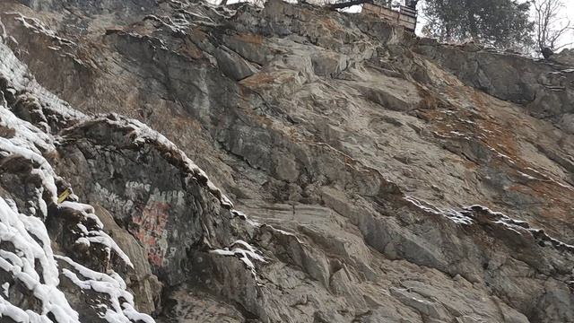 Без названия