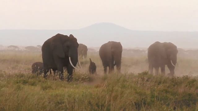 Ручки Prodir с индивидуальным фактурным узором