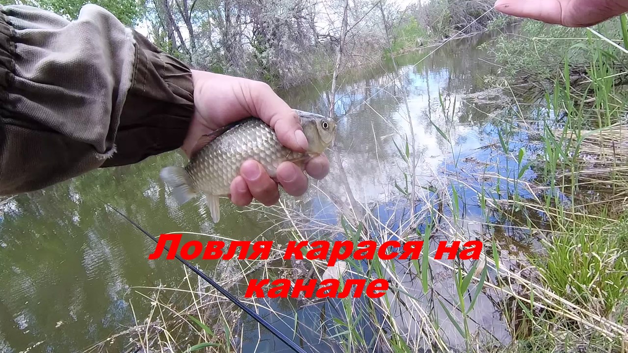 Ловля карася на поплавок.