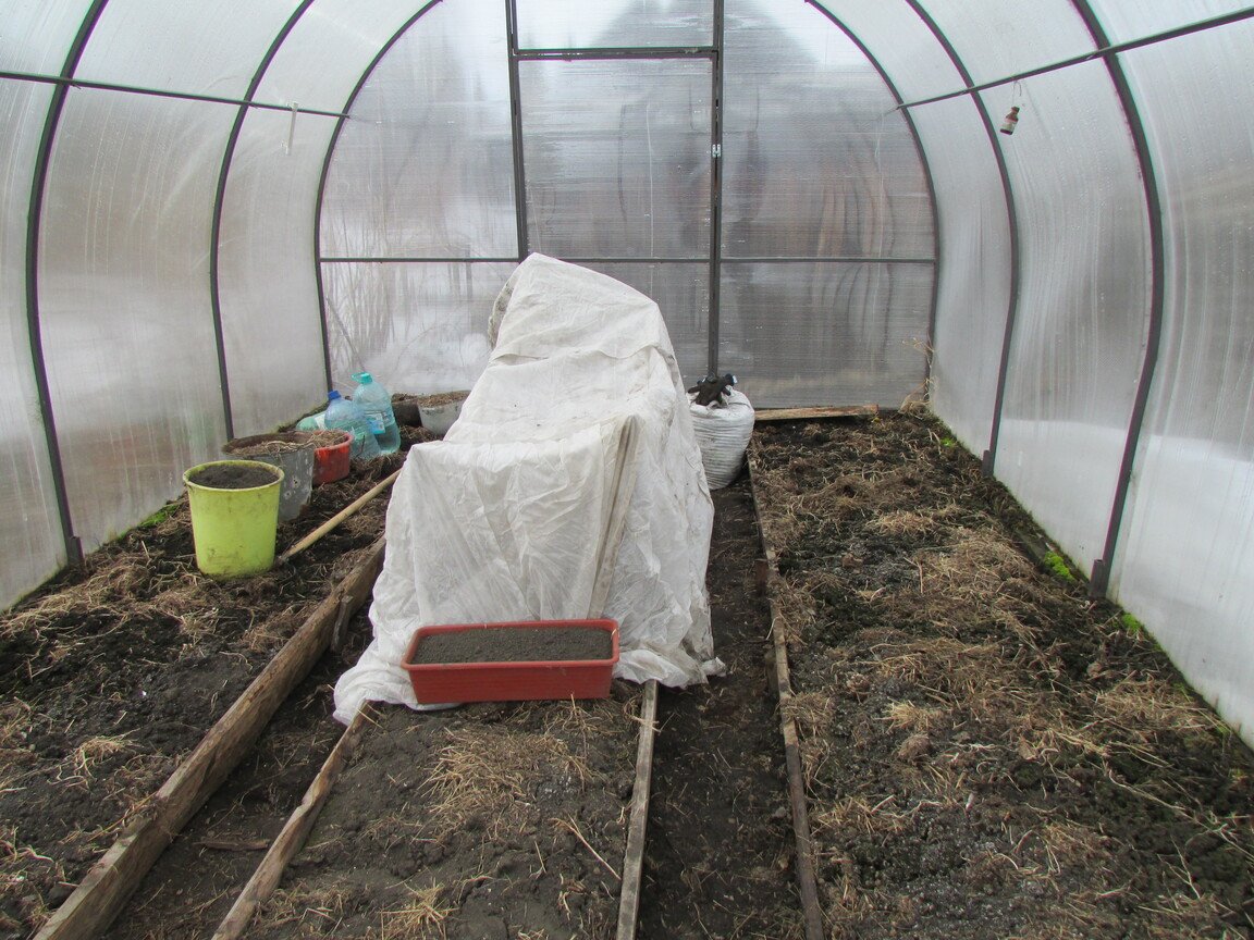 ЭКСПЕРИМЕНТ!!! ПЕРВЫЙ ПОСЕВ ЗЕЛЕНИ!!!