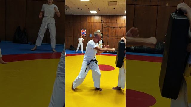 Техника Асаи каратэ