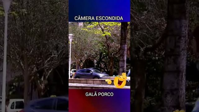 Смешные видео 32