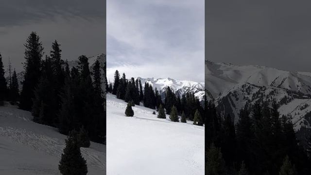 Горнолыжный Каракол