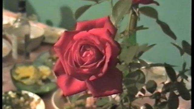 Мой юбилей_50.mp4