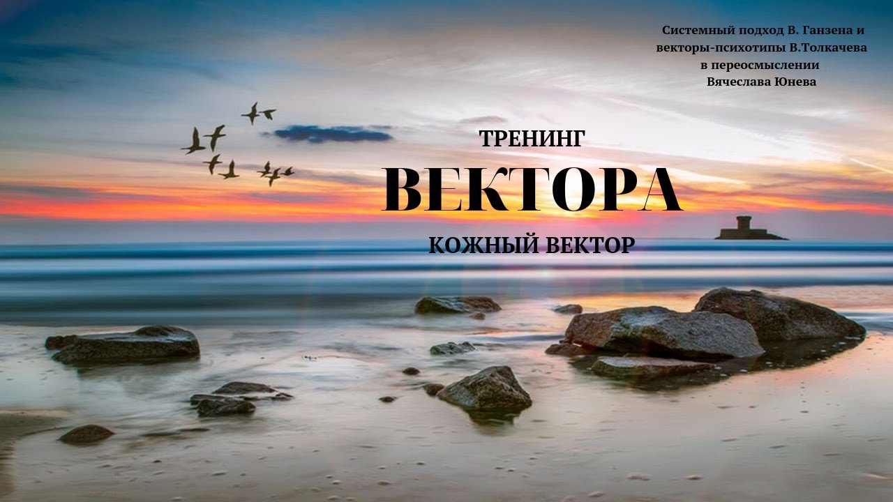 Занятие 2. Кожный вектор. Тренинг  Вектора. Проект Вячеслава Юнева.mp4