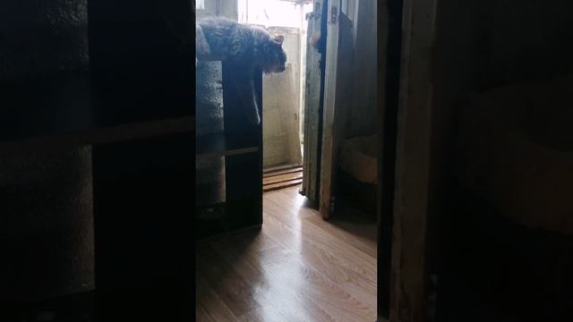 ФАЯ.mp4