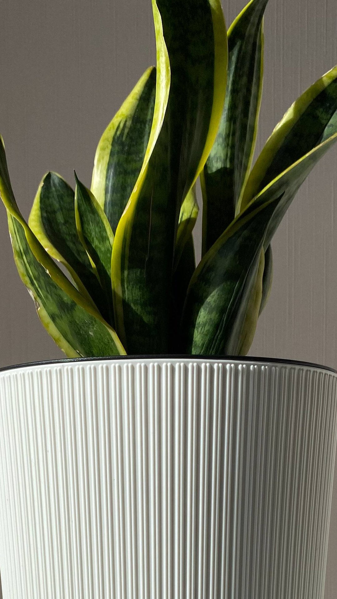 Кашпо напольное со вставкой 5 л