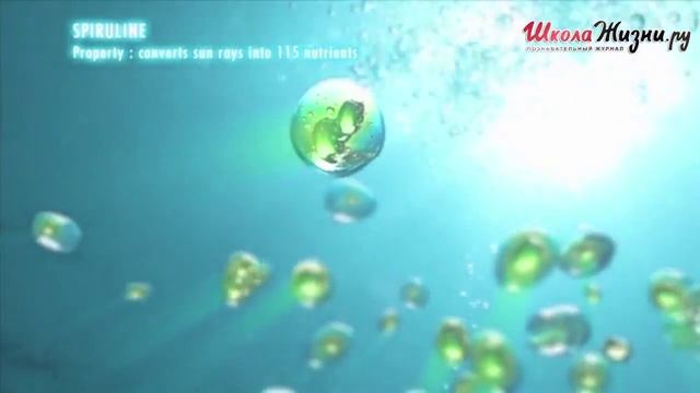 Распространенные заблуждения о косметике. Существует ли на самом деле плацентарное чудо?