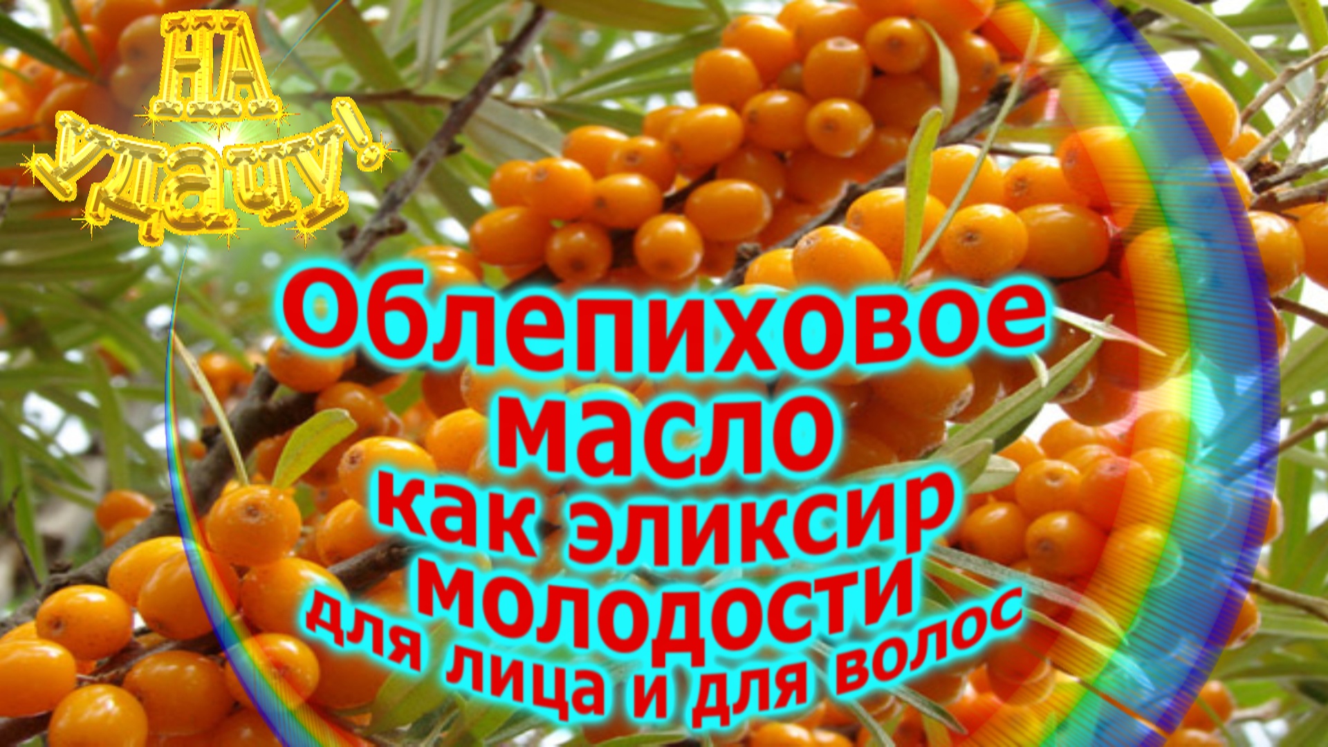 Облепиховое масло как эликсир молодости для лица и для волос