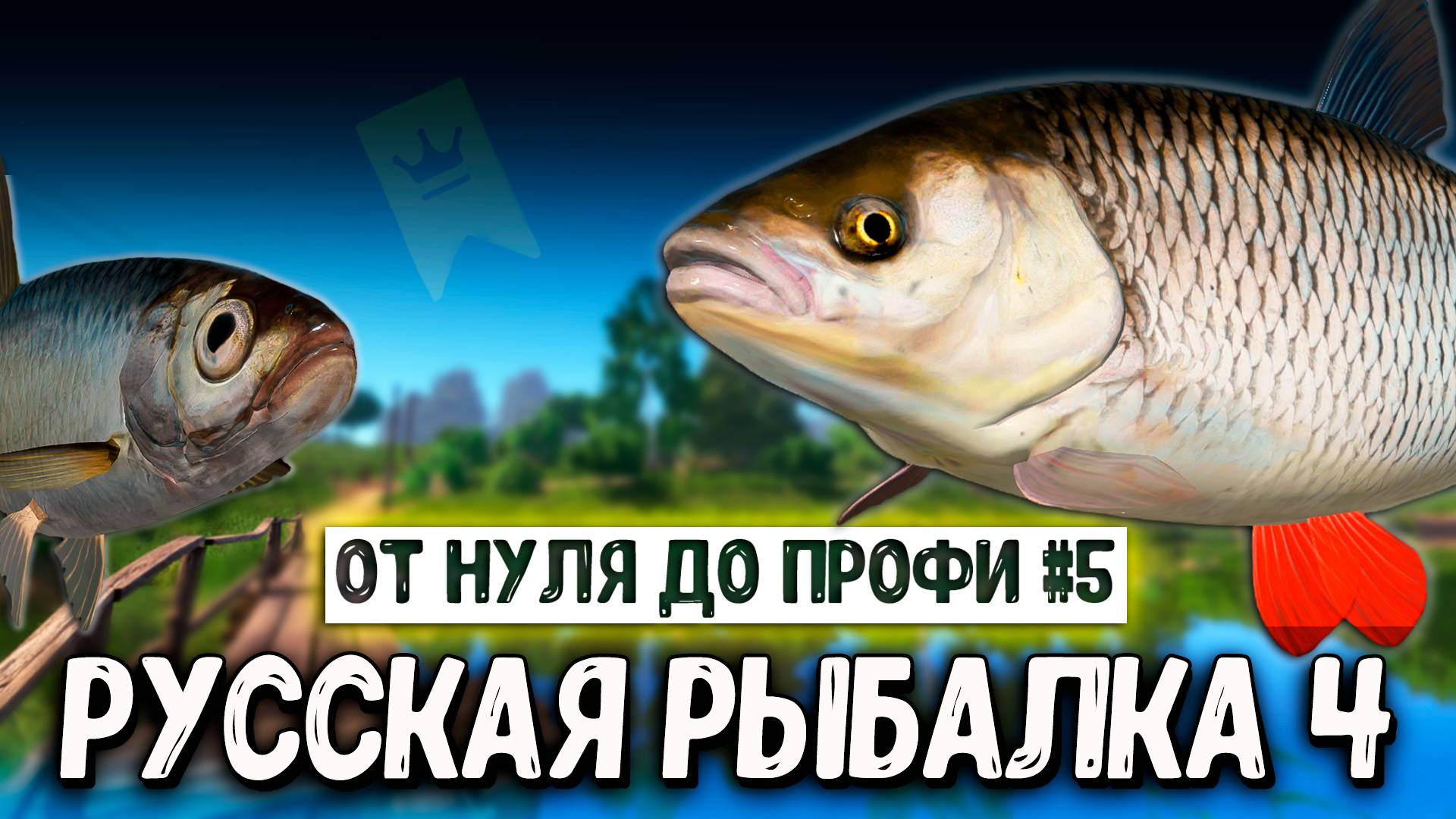 РУССКАЯ РЫБАЛКА 4. ПЕРВЫЕ ТРОФЕИ, ФАРМЫ, НОВЫЕ ЦЕЛИ И ПЛАНЫ РР4