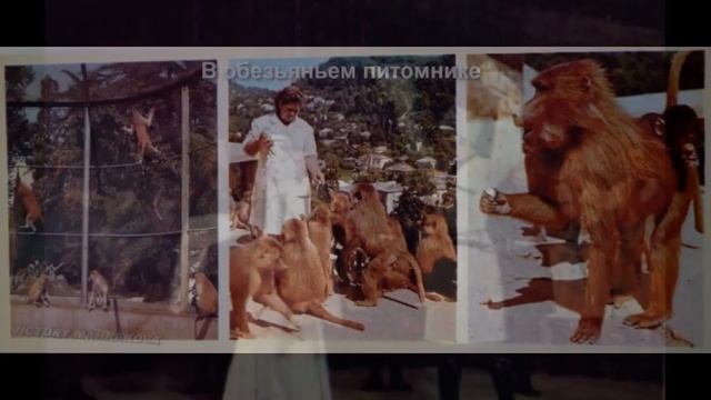 По Абхазии 1976 года...