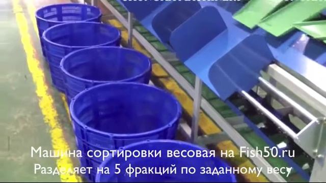 Машина весовой сортировки, поточная