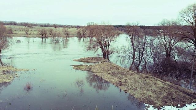 Незадачливый ротозей