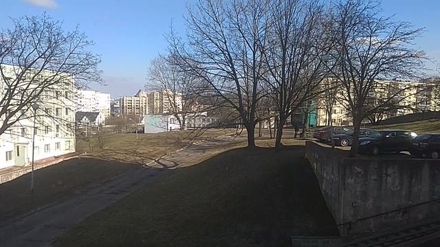 VID_20240306_145238