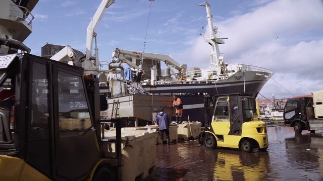 Южно-Курильский рыбокомбинат 10.03.2022.mp4