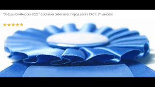 Собачья выставка!