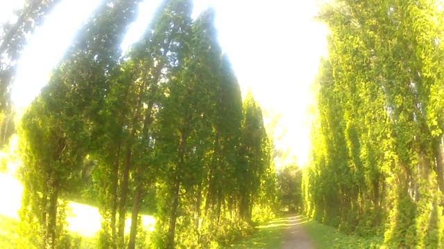 Покатушка в дендрарий. Казань 02.09.2017