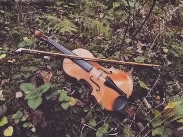 Осенняя элегия со скрипкой.