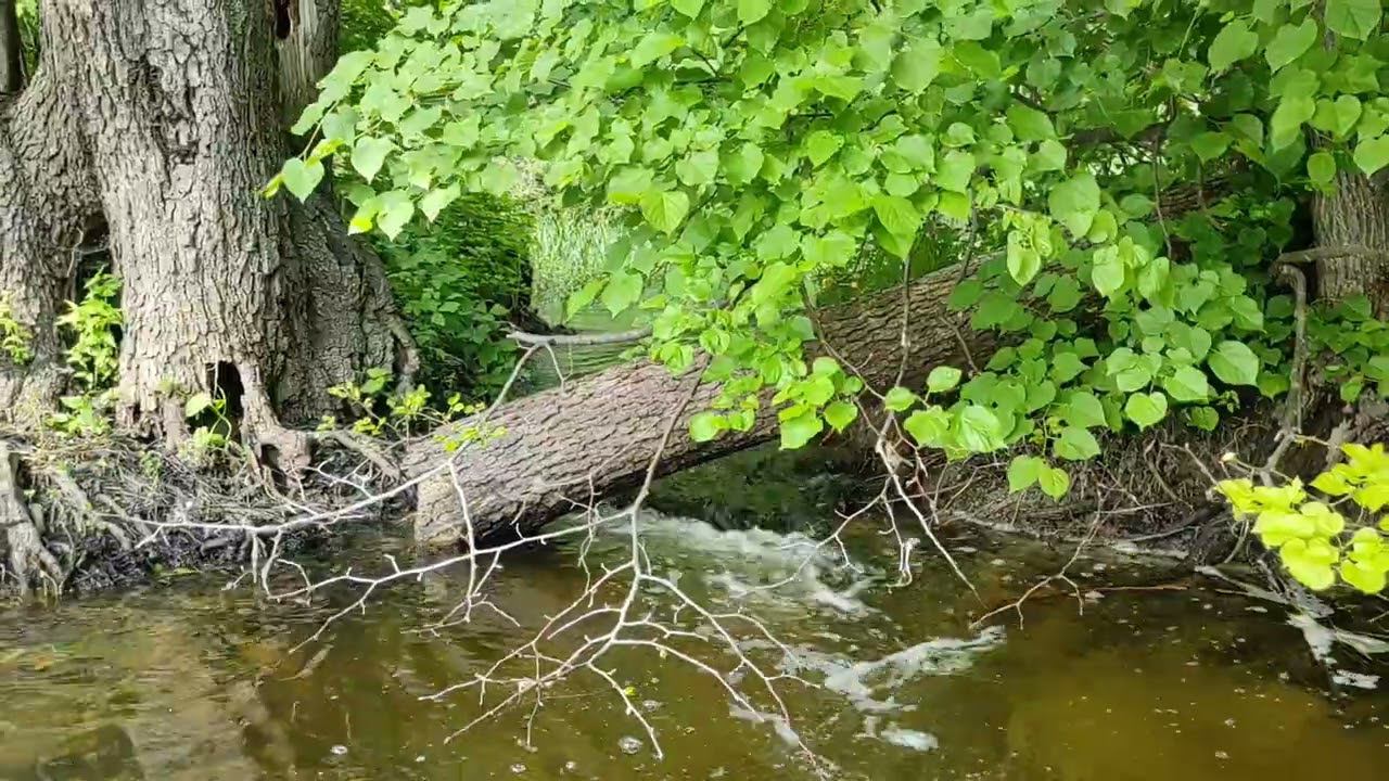 SUP - прогулка по реке Битюг 20.05.23