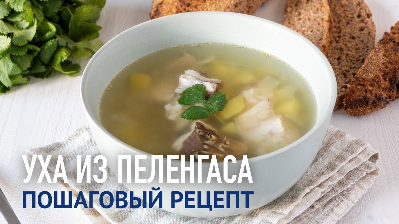 Домашняя уха из пеленгаса