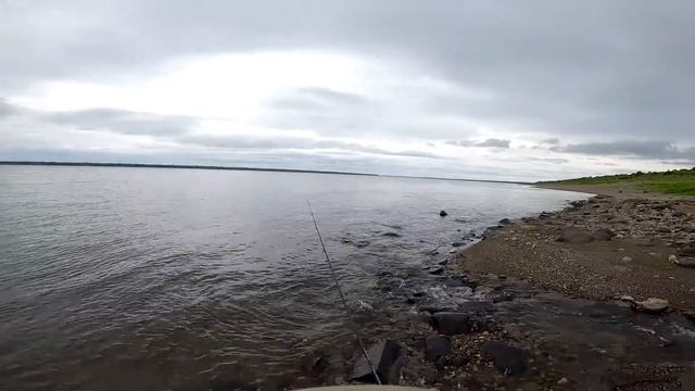 За щукой на Енисей! Скорость комплекта Marine Rocket 30+лодка Аляска тонна люкс 470.