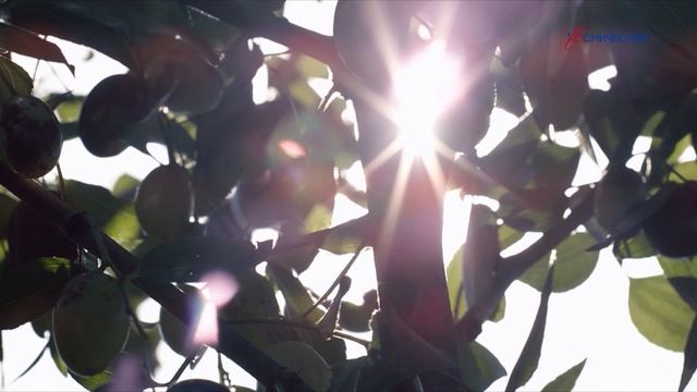 Анонс. Первый Космический. Охота на монстра