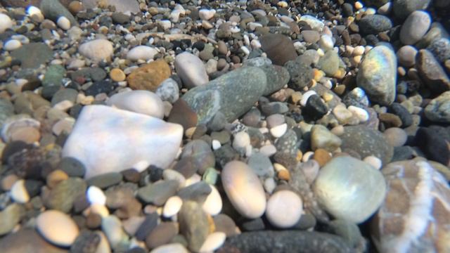 ПОДВОДНАЯ СЪЕМКА В ЧЕРНОМ МОРЕ, ПОПАЛАСЬ ЗАГАДОЧНАЯ РЫБА.