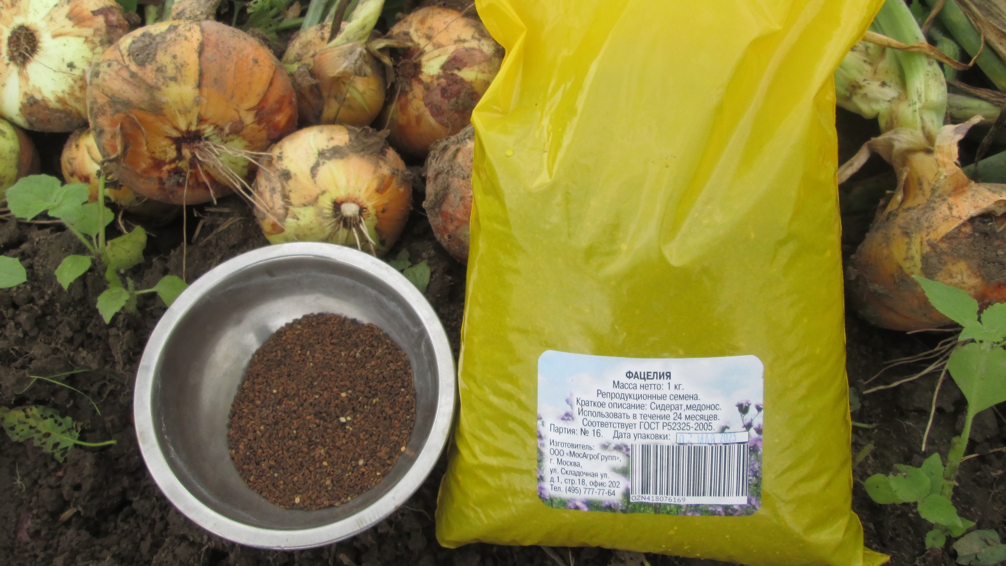 Выдергиваем лук