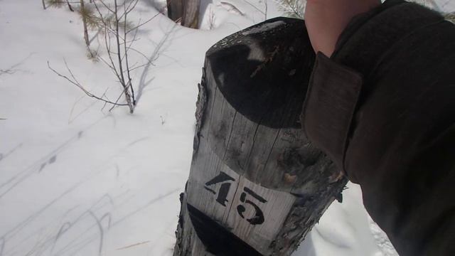 Ориентирование, квартальный столб