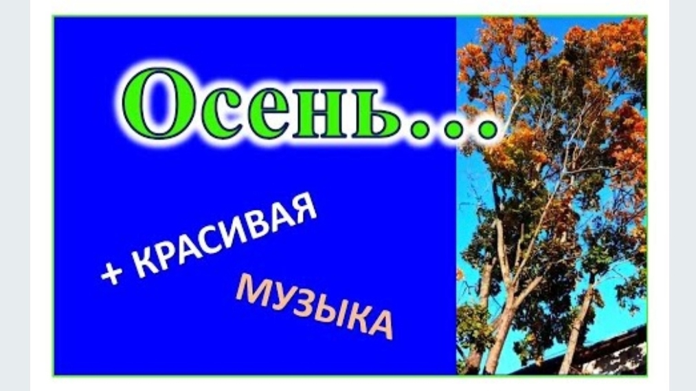 Осень. Александра Миркушова