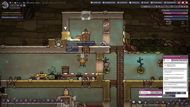 Лизерка на 20-м цикле