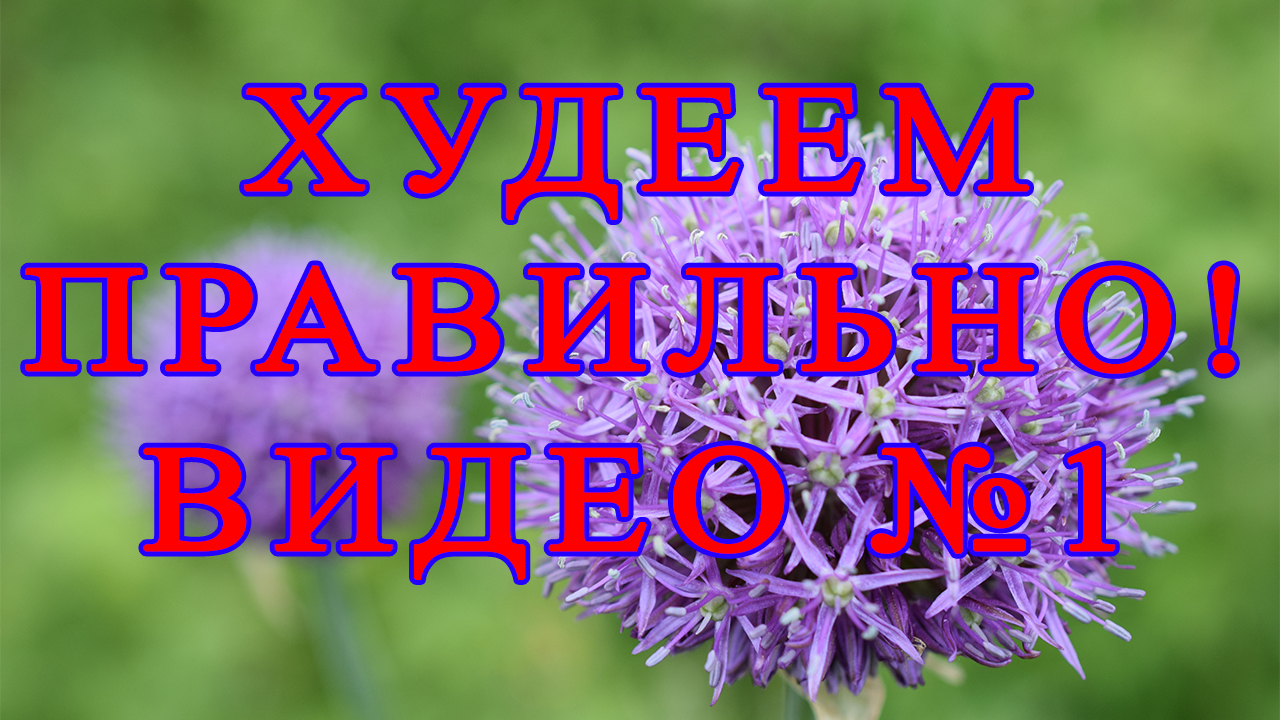 Худеем правильно, с пользой для здоровья. Видео №1.