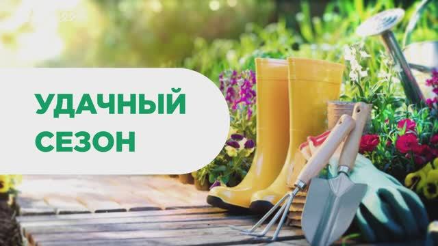 Удачный сезон с Алексеем Карельским