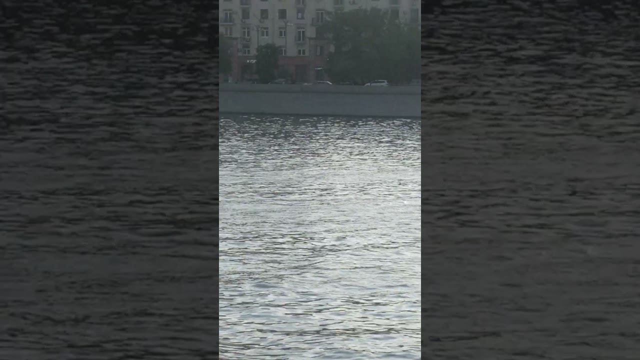 2023.06.08 Москва-река. Причал Парк культуры и отдыха.